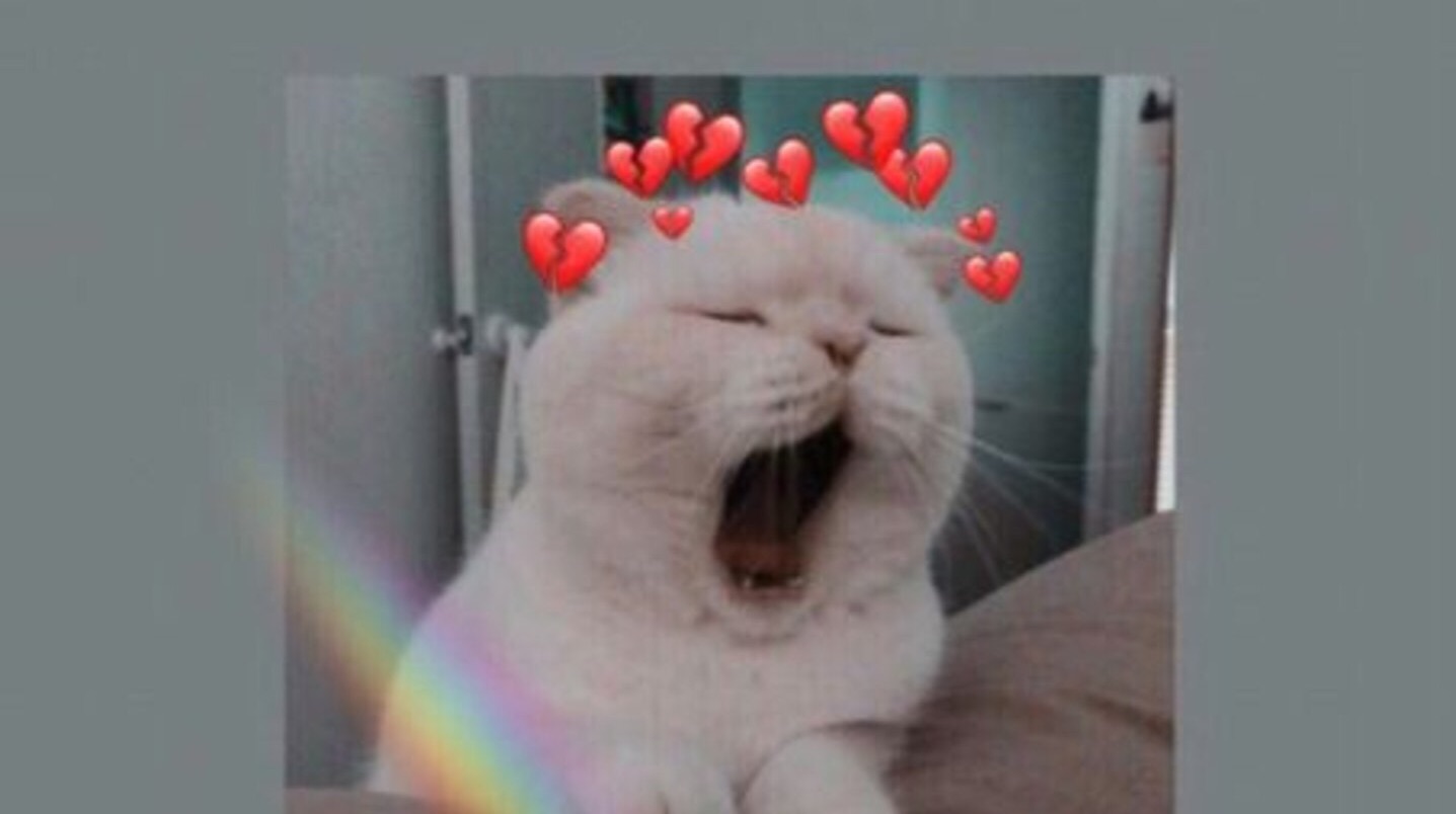 @togami_softie | Memes