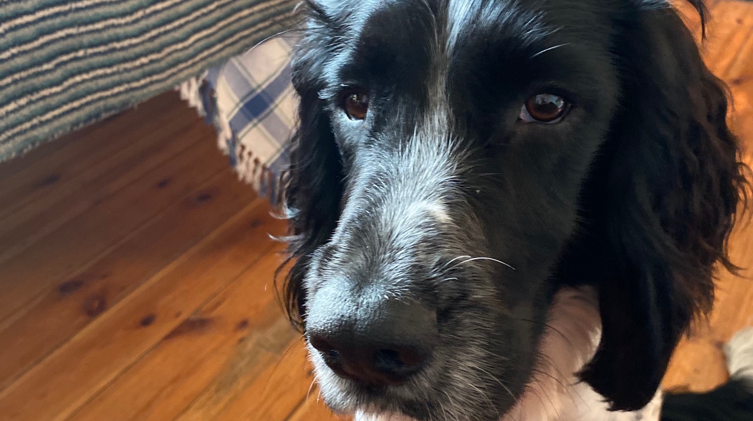 Olivia Memes 2020 Memes