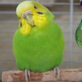 @cemre.demir_1995 | Memes