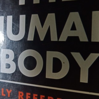 @humanbody | Memes