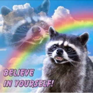 @sus.raccoons | Memes