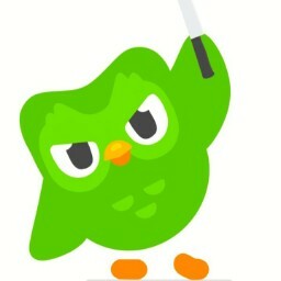 @Duolingo_Birds | Memes