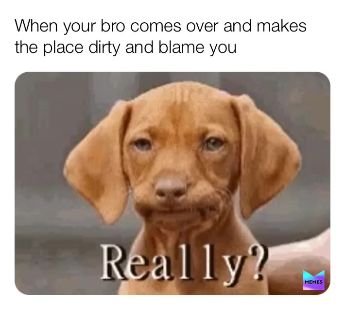 Post by @funny__bro | Memes