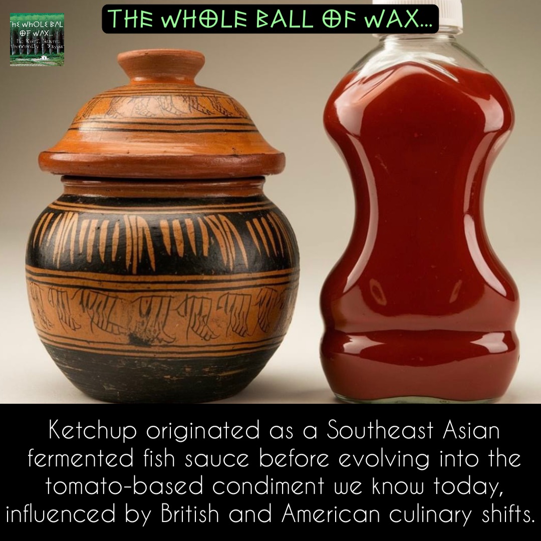 Double tap to edit Ketchup originated as a Southeast Asian fermented ...