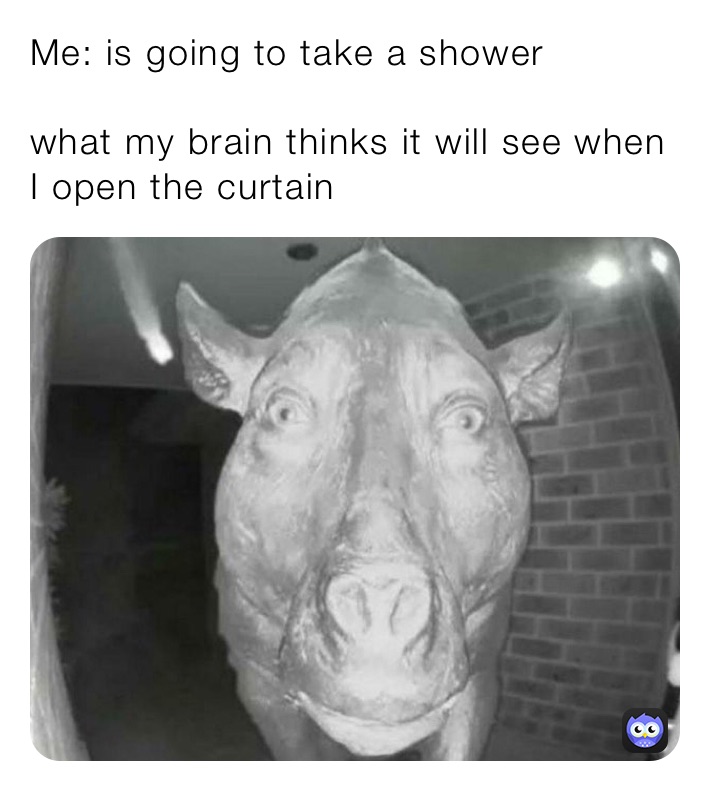 Me: is going to take a shower what my brain thinks it will see when I ...