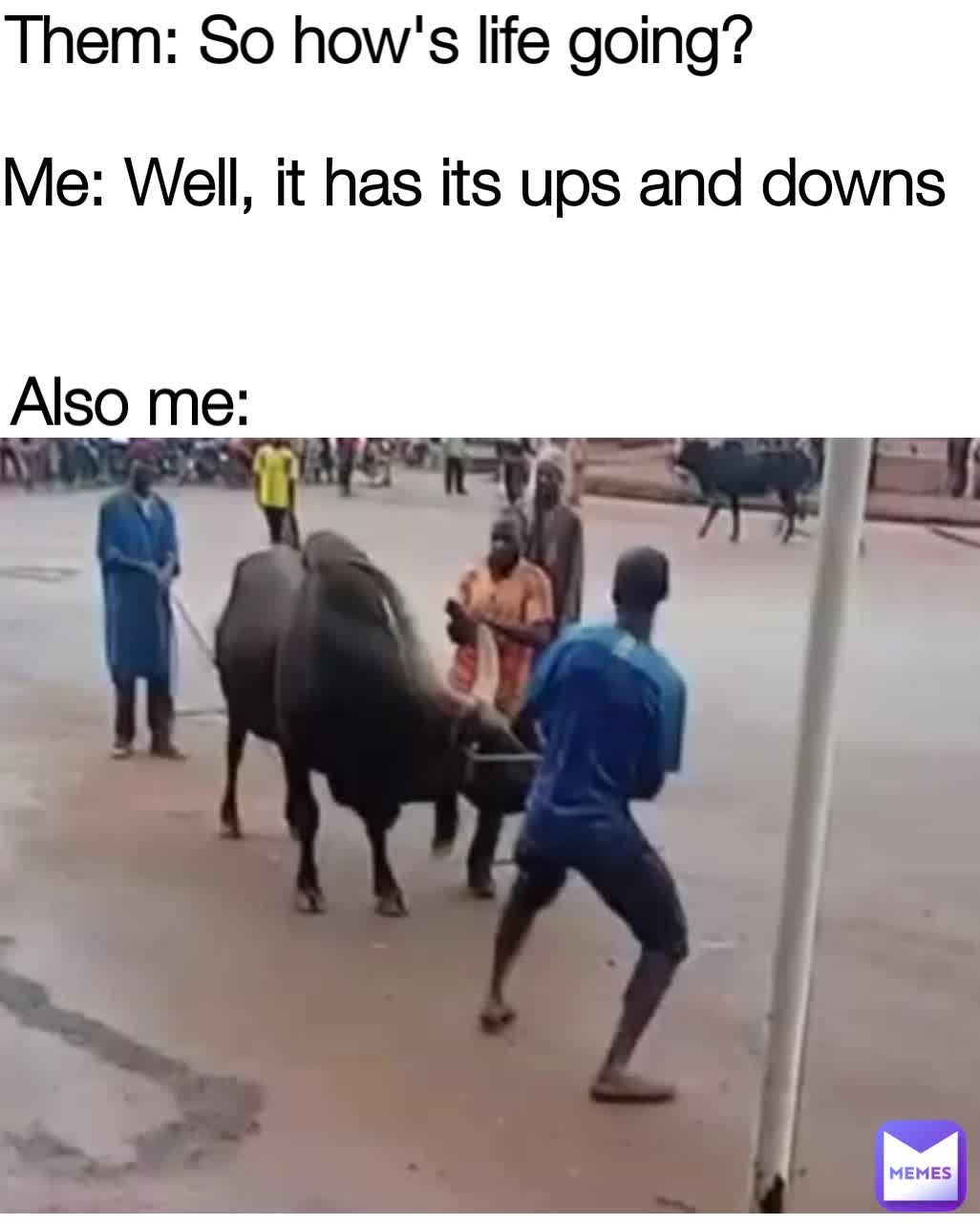 Them: So how's life going? Me: Well, it has its ups and downs Also me ...