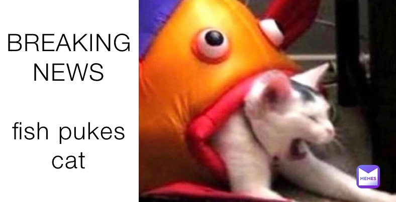 BREAKING NEWS fish pukes cat | @6xb88yg9nd | Memes
