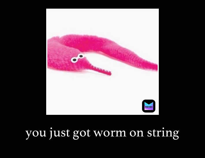 you just got worm on string | @no_longer_here | Memes