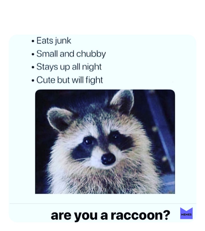 Post by @pudge | Memes