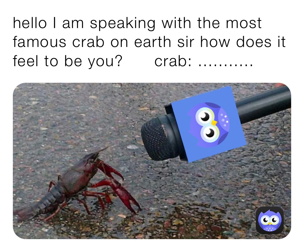 hello I am speaking with the most famous crab on earth sir how does it ...