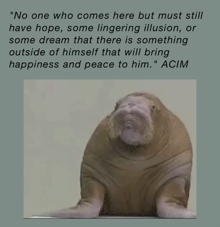 "No one who comes here but must still have hope, some lingering ...