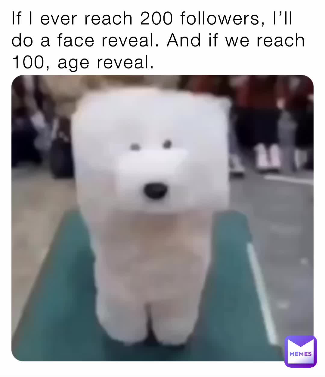 If I ever reach 200 followers, I’ll do a face reveal. And if we reach ...