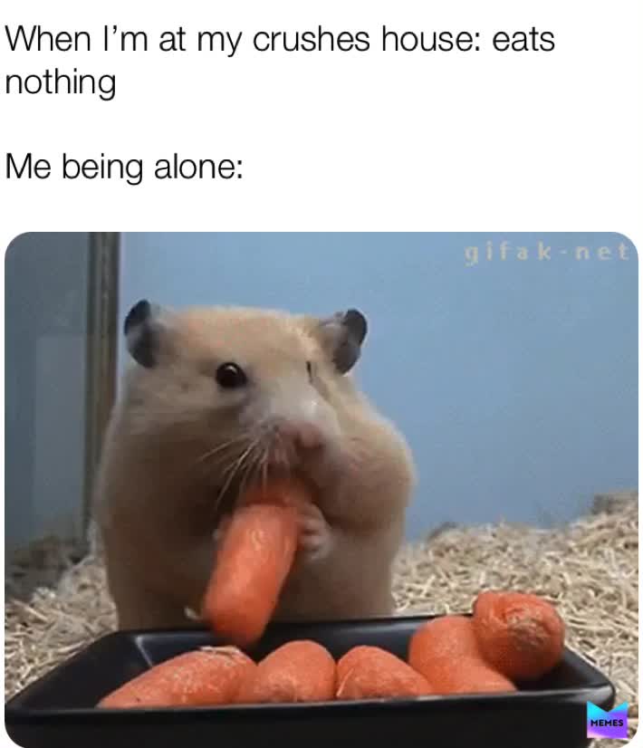 Post by @weird_kona | Memes