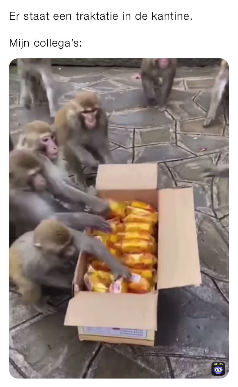 Er staat een traktatie in de kantine. Mijn collega’s: | @jasper_pb | Memes