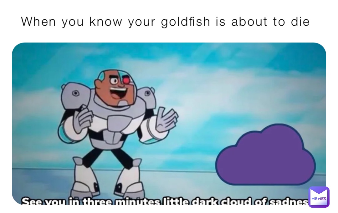 When you know your goldfish is about to die | @jdowney1209 | Memes