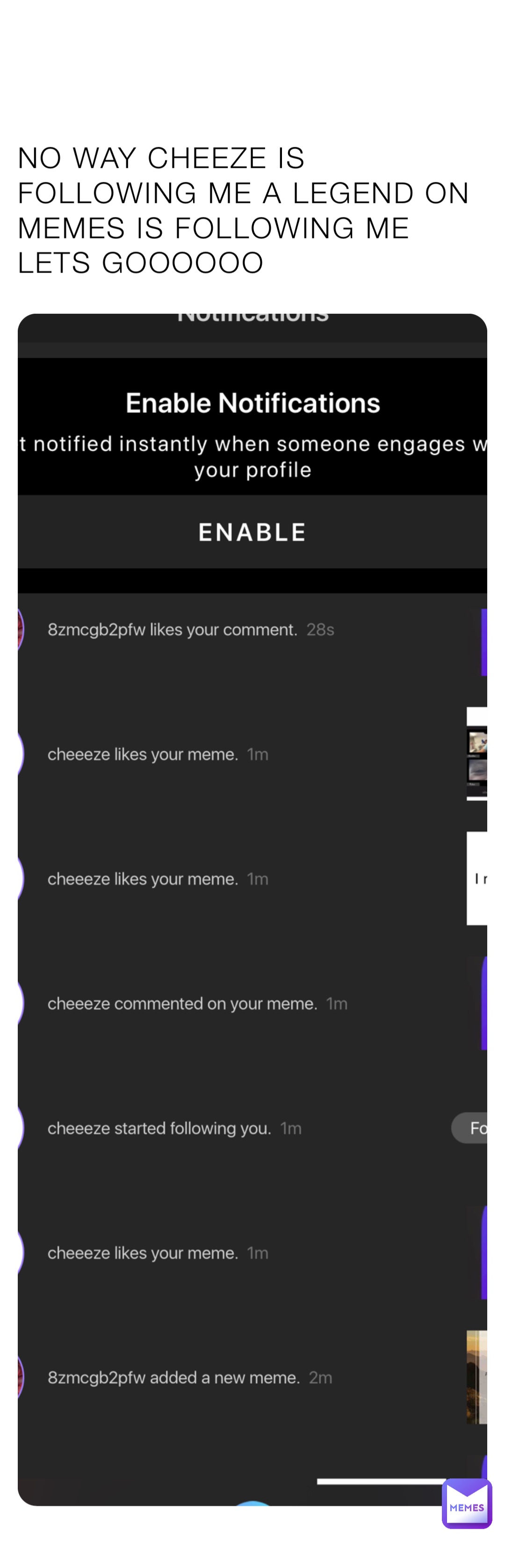 NO WAY CHEEZE IS FOLLOWING ME A LEGEND ON MEMES IS FOLLOWING ME LETS ...