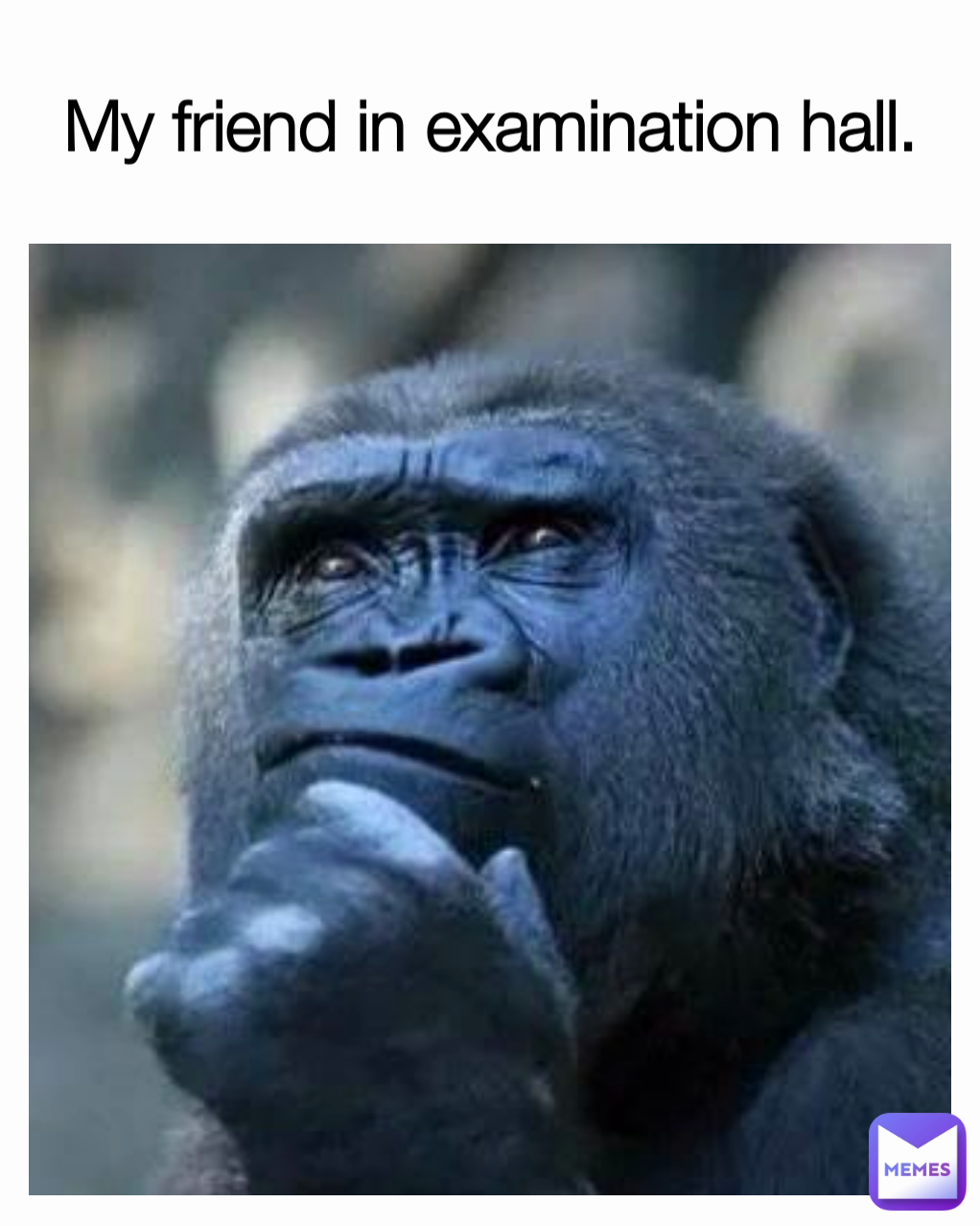 My friend in examination hall. | @WhoseChiba | Memes