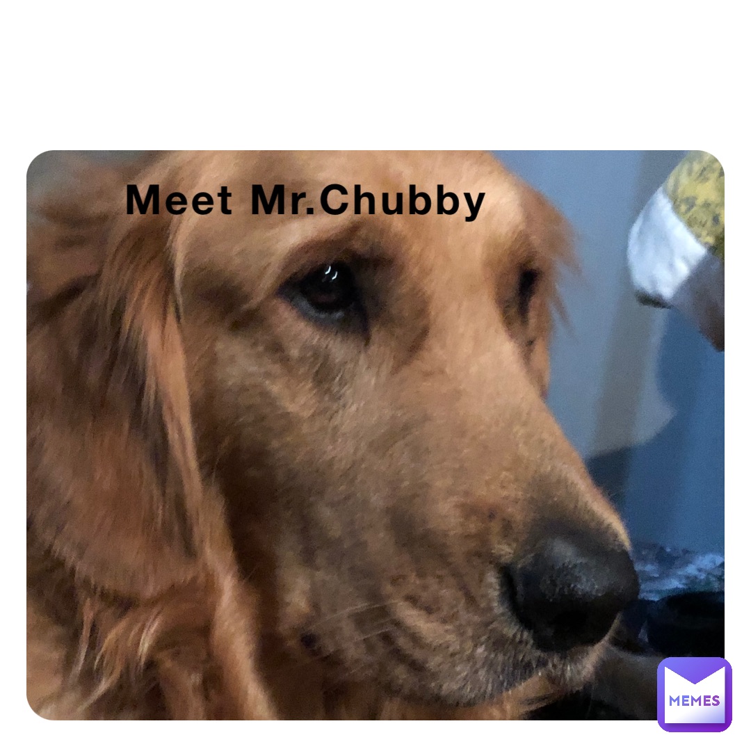 Meet Mr.Chubby | @American_Redneck | Memes