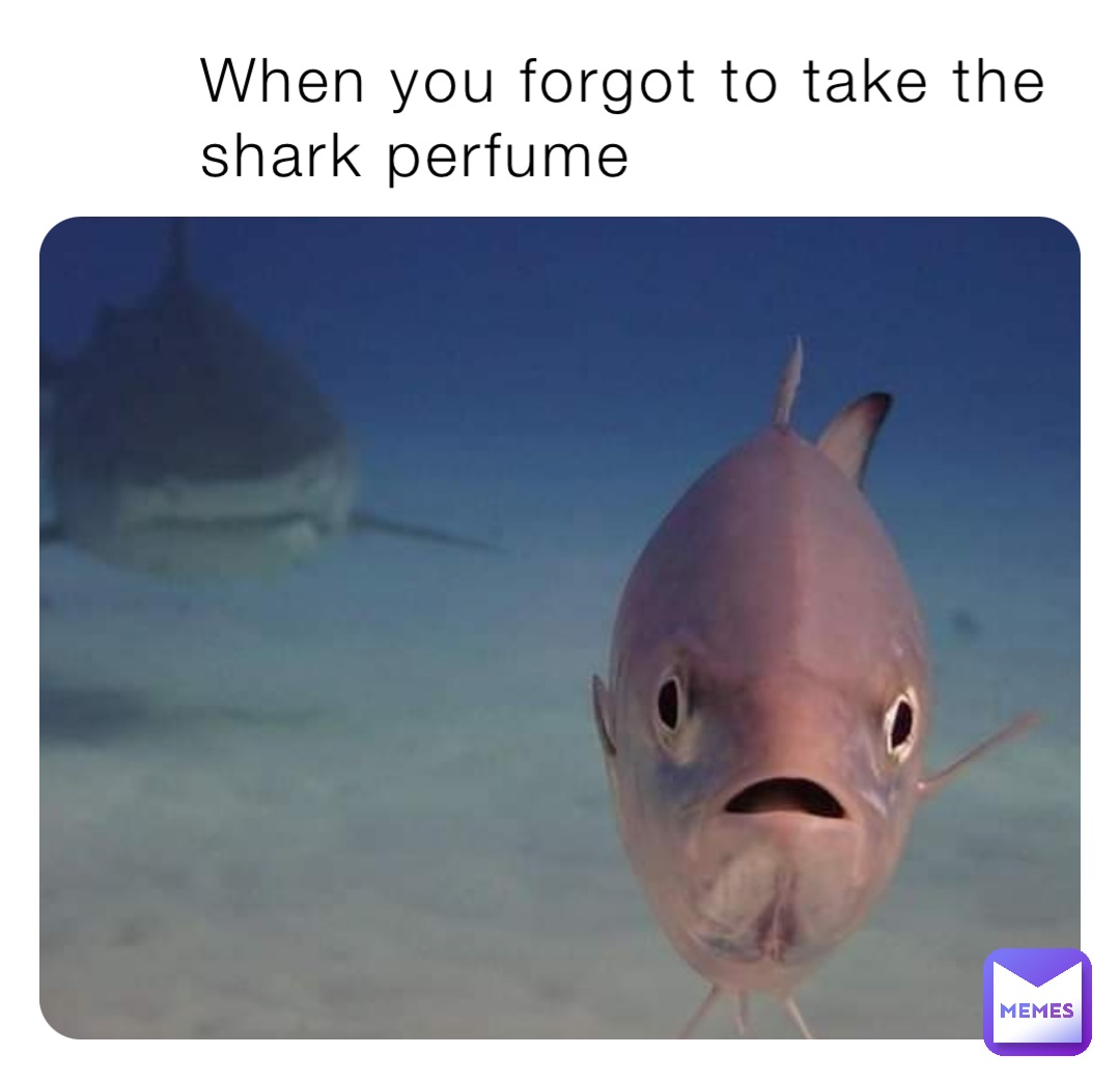 When you forgot to take the shark perfume | @Thememegodrock | Memes