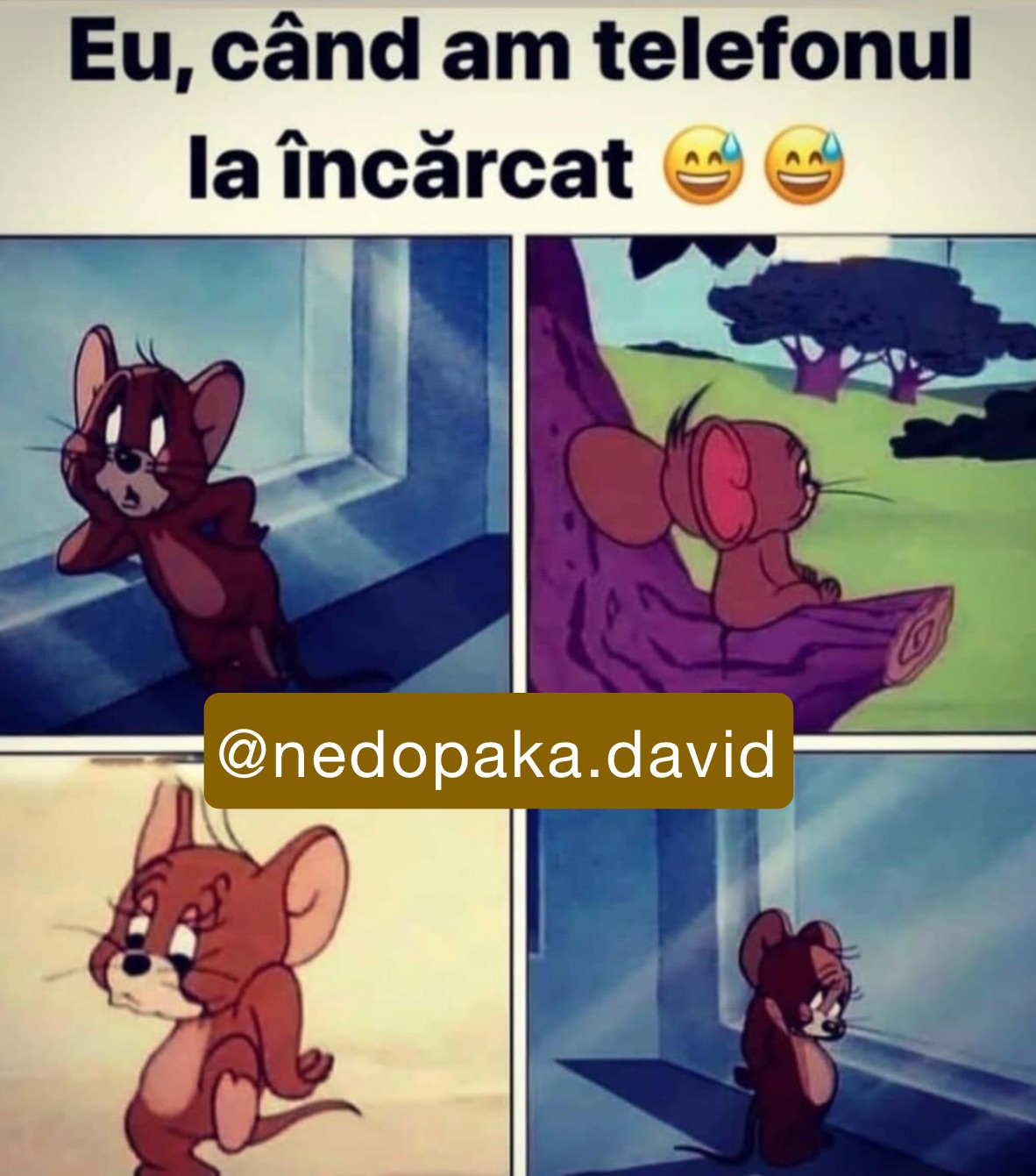 Sunt cel mai bogat om din lume!!! | @nedopaka.david | Memes