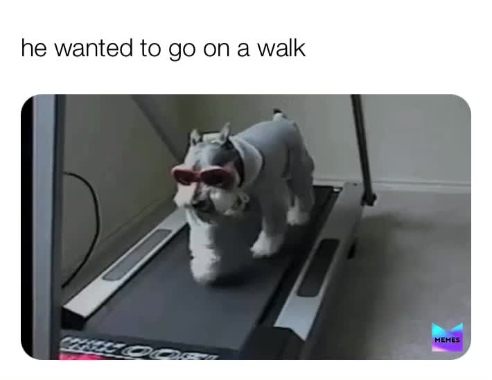 Post by @lazar_lazar123 | Memes