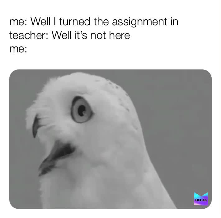 Post by @that_one_ginger | Memes