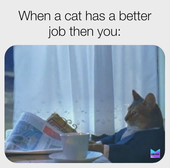 Post by @How.to.be.invisible.101 | Memes