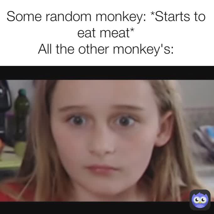 Some random monkey: *Starts to eat meat* All the other monkey's: | @How ...