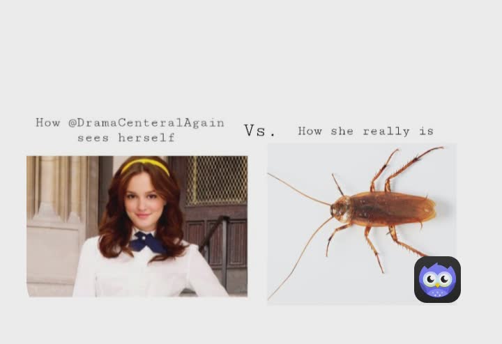 Post by @How.to.be.invisible.101 | Memes