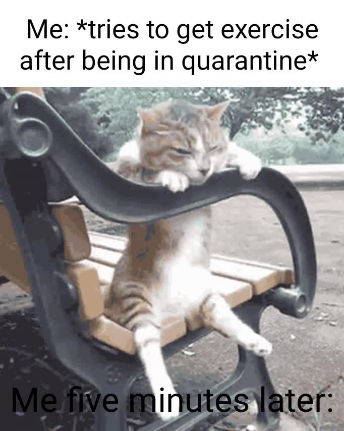 Post by @How.to.be.invisible.101 | Memes