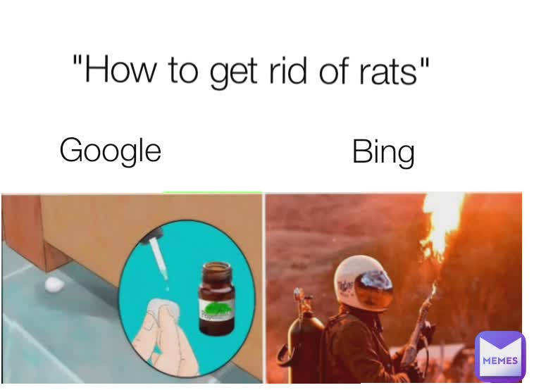 Google Bing "How to get rid of rats" | @frogress_high | Memes