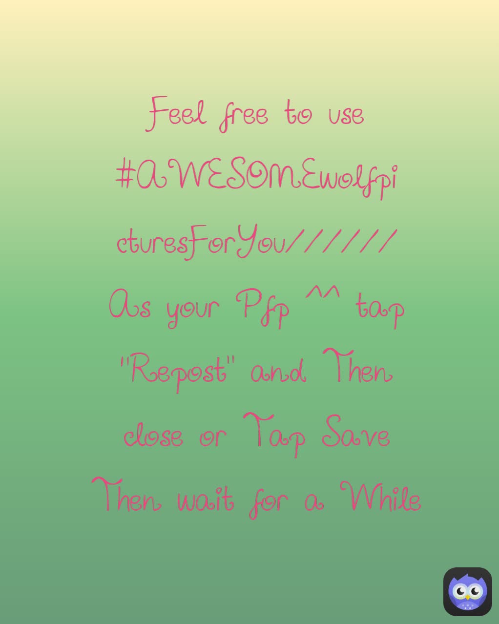 Feel free to use #AWESOMEwolfpicturesForYou////// As your Pfp ^^ tap ...