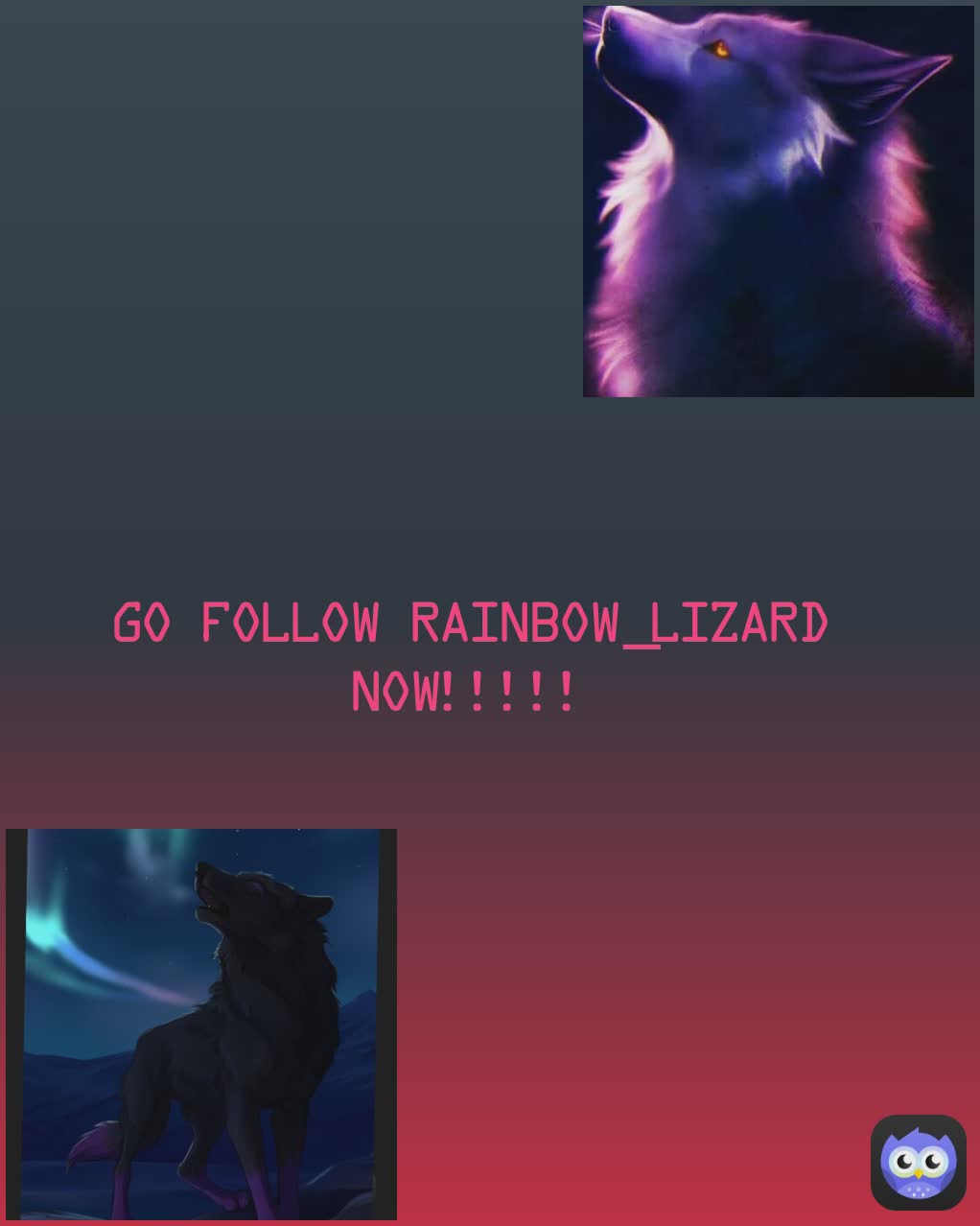 Go follow Rainbow_Lizard NoW!!!!! | @MoonAurora | Memes