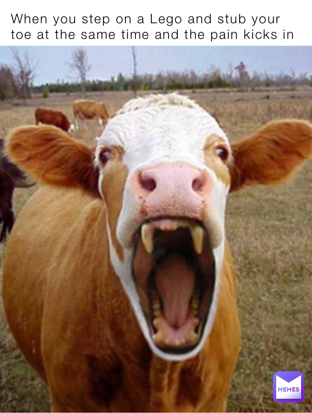 When you step on a Lego and stub your toe at the same time and the pain ...