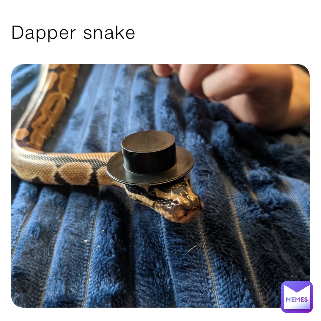 Dapper snake | @Spamton_and_sans | Memes