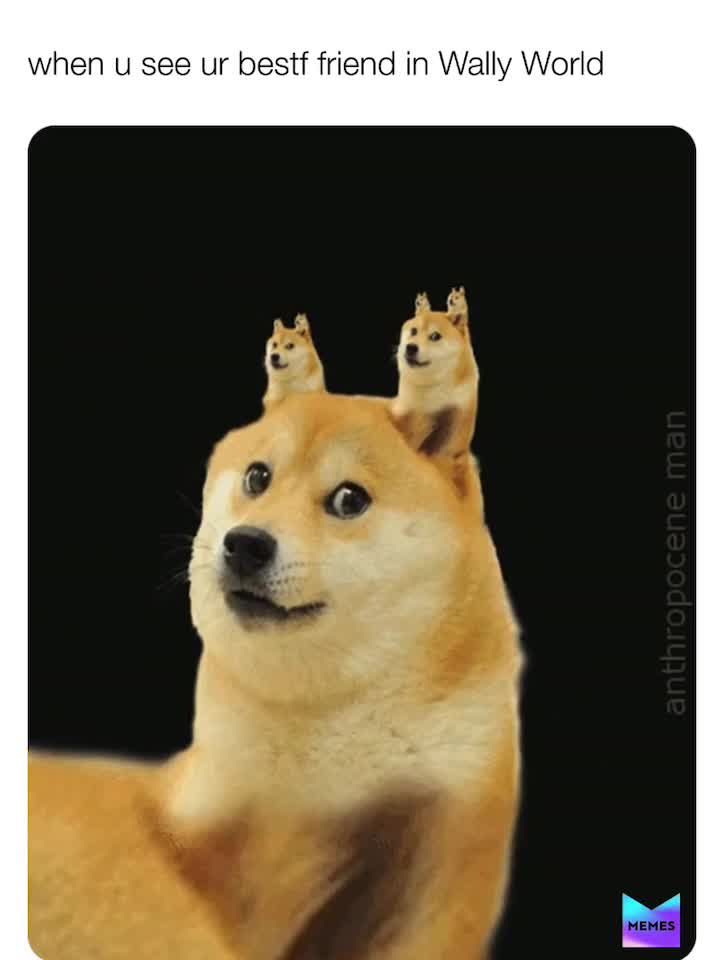 Post by @magnificent_mari | Memes