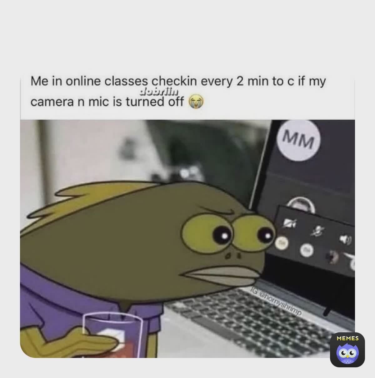 Paranoid Stoner Memes