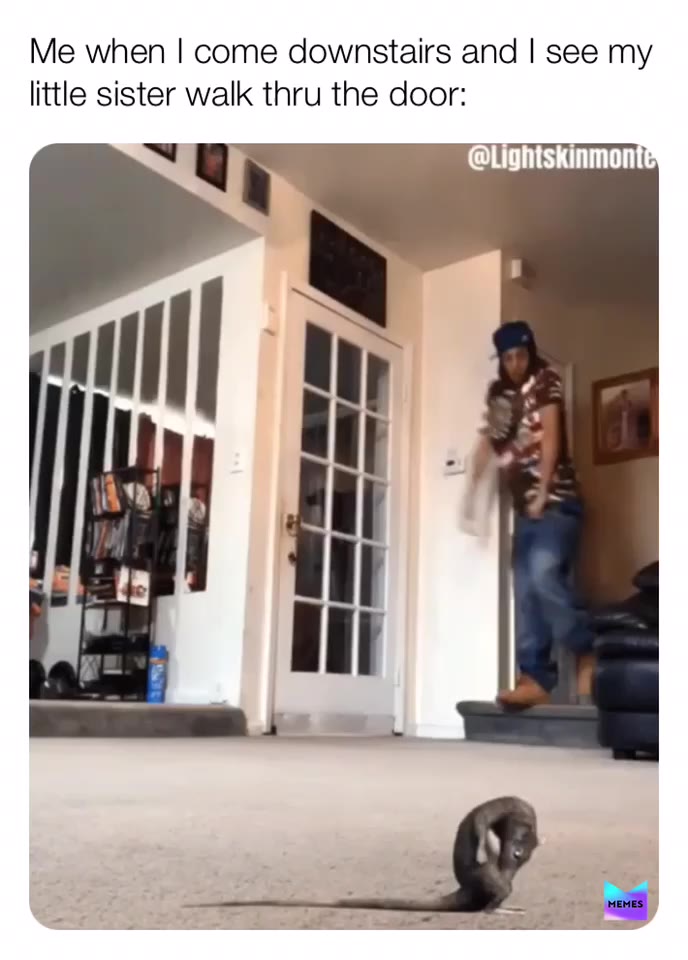 Post by @hey_im_lele_ | Memes