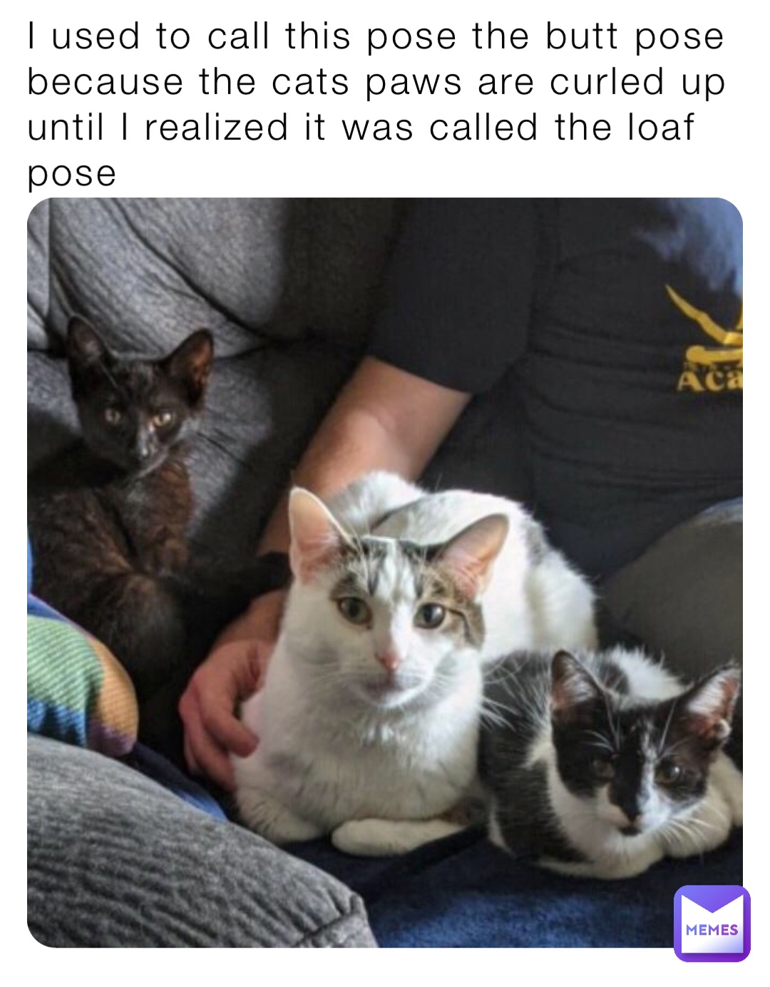 I used to call this pose the butt pose because the cats paws are curled ...