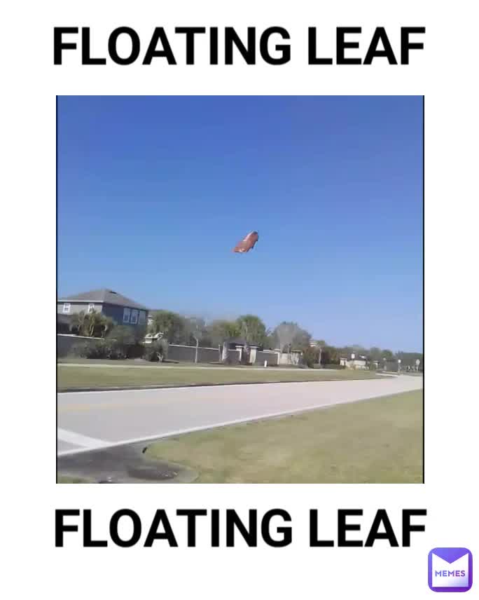 FLOATING LEAF FLOATING LEAF | @factsnotfiction | Memes