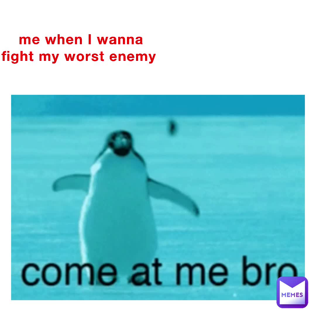 Wanna Fight Meme