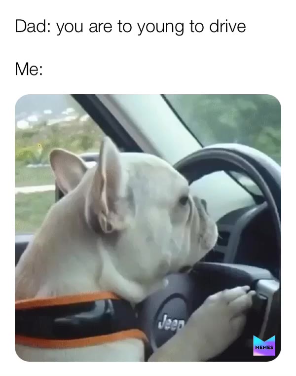 Post by @urnans_bootai | Memes