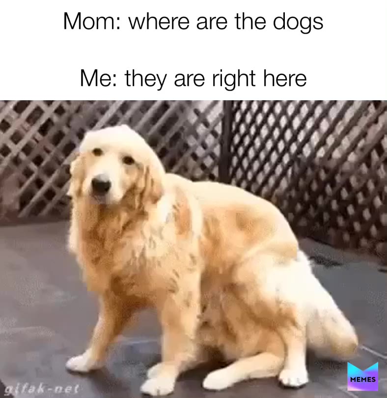 Post by @el_meme_chafa_porkno | Memes