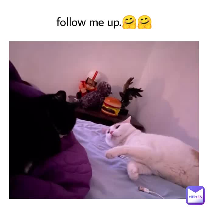 follow me up.🤗🤗 | @j_a_m_e_s_t_a_y_l_o_r | Memes