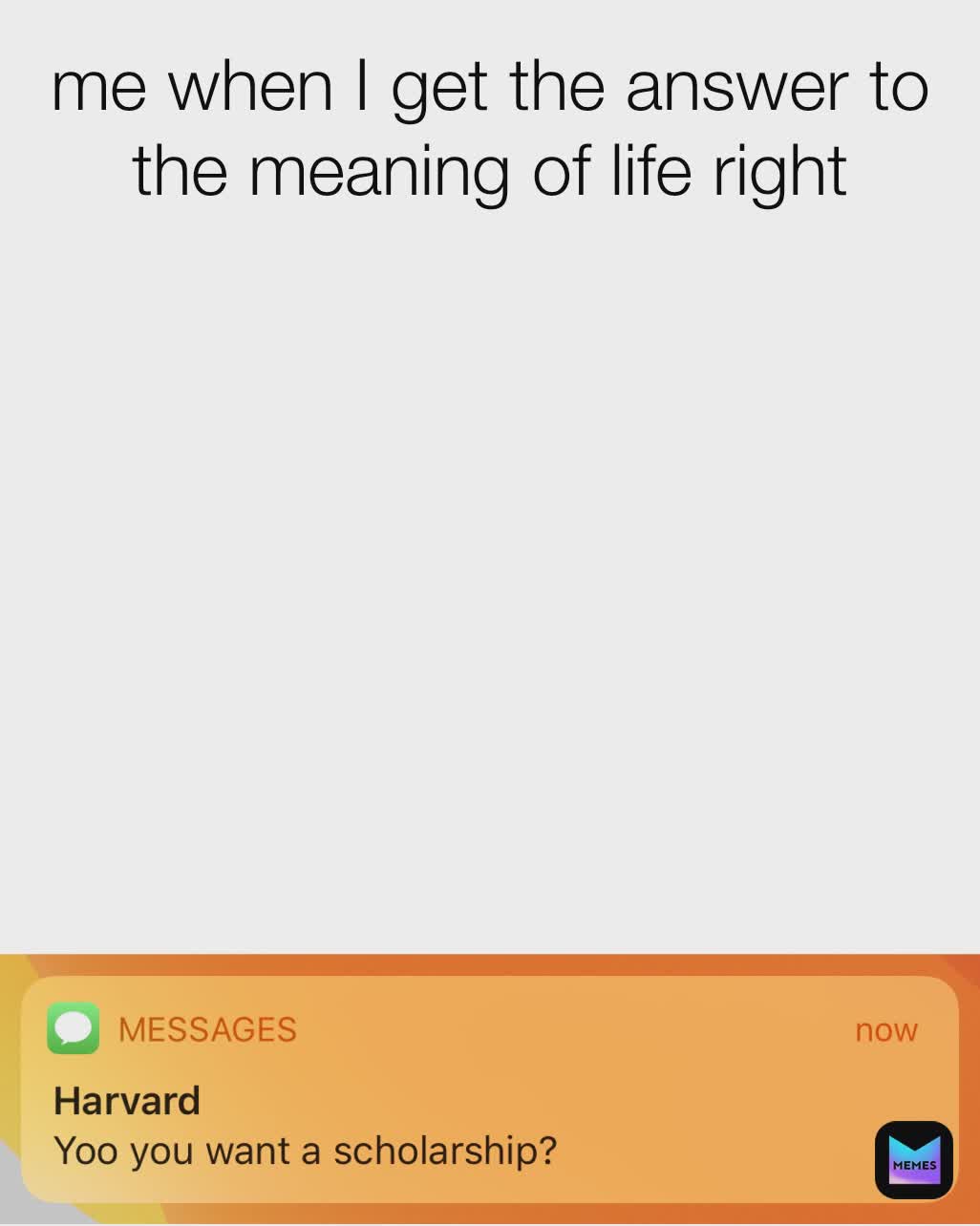 Post By memeregulater Memes post-by-memeregulater-memes