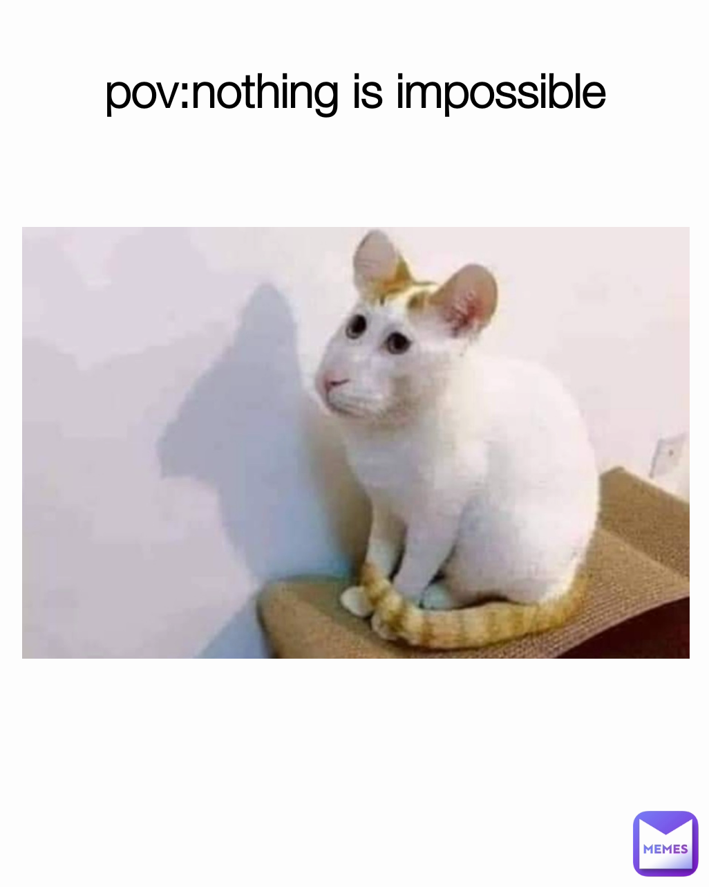 Nothing Is Impossible Meme