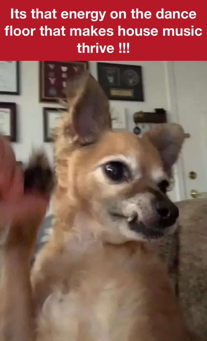 Post by @i_am_pierro | Memes