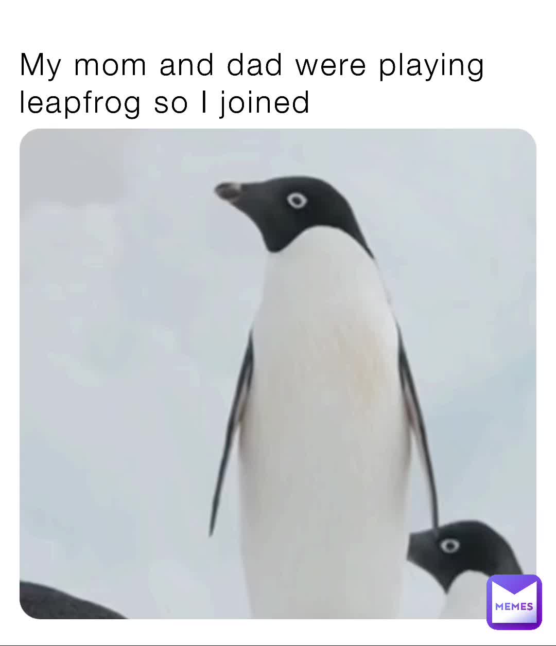 My mom and dad were playing leapfrog so I joined | @MrDoggos101 | Memes