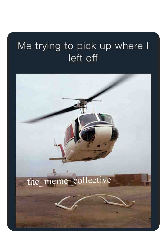 Post by @the_meme_collective | Memes