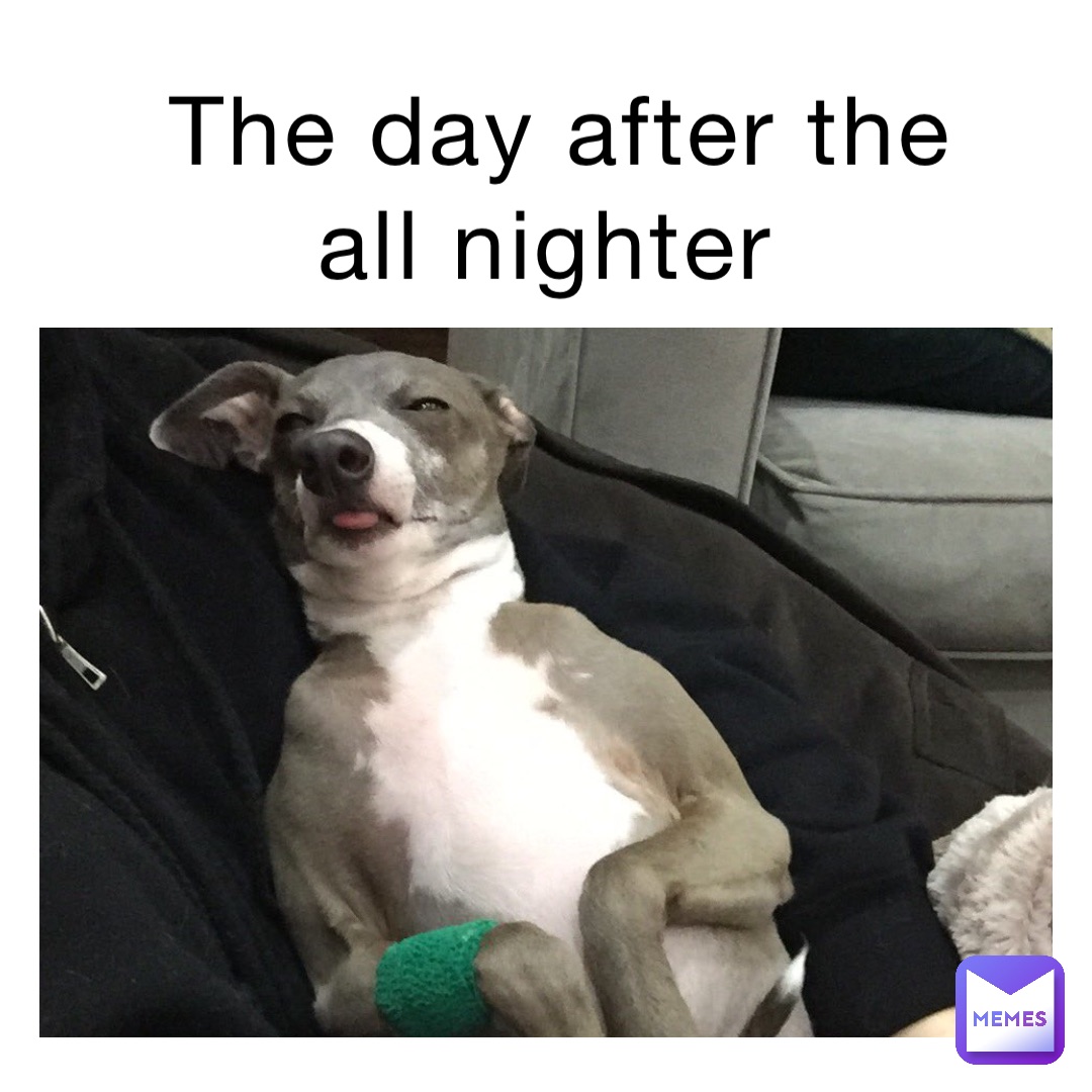 The day after the all nighter | @kermy_nasty_boi | Memes